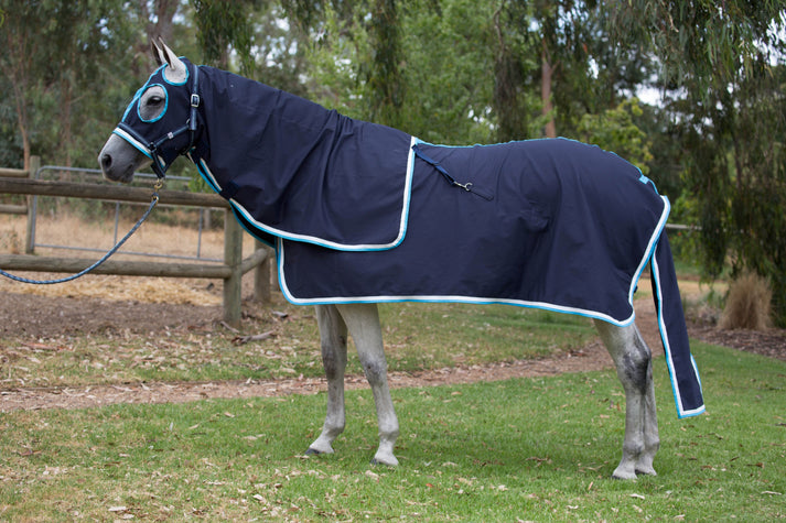 Cotton Show Rug – High Plains Rugs