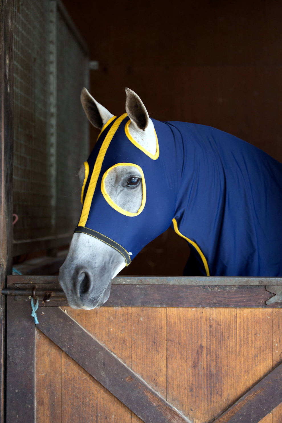 Lycra Skinny Hoods – High Plains Rugs