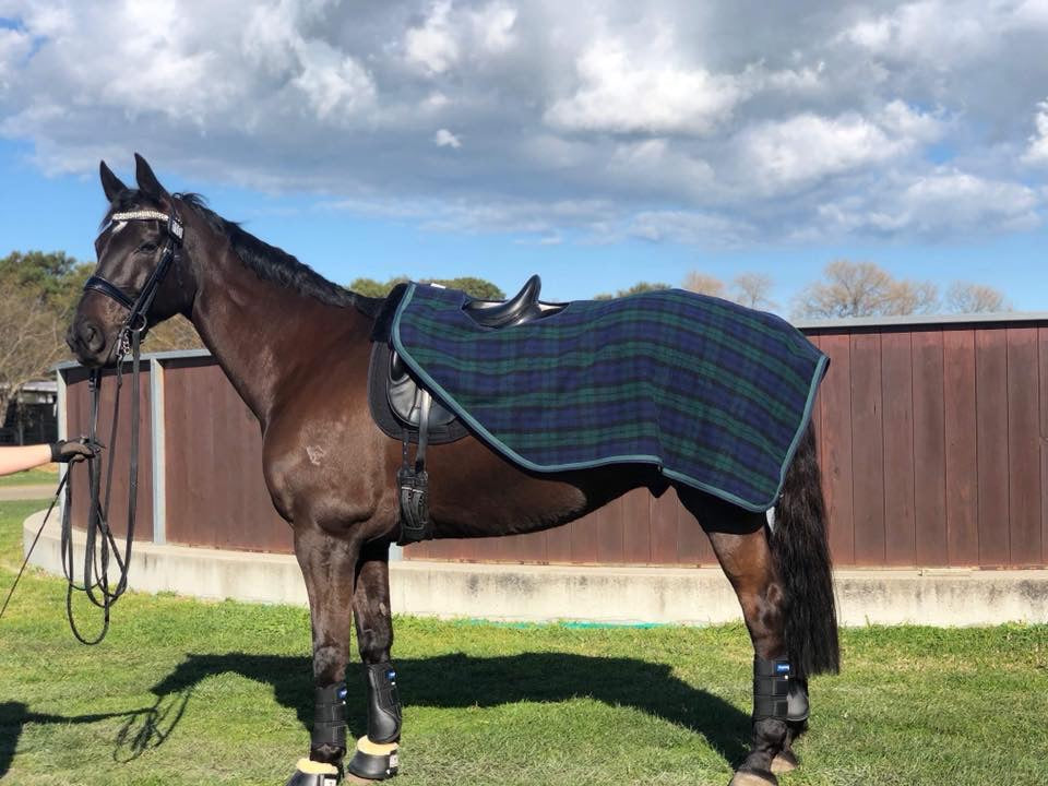 Quarter Sheets – High Plains Rugs